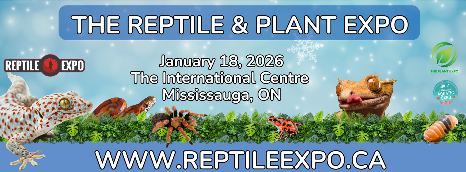 Reptile & Plant Expo - Mississauga, ON | January 18th, 2026 – Exotic ...