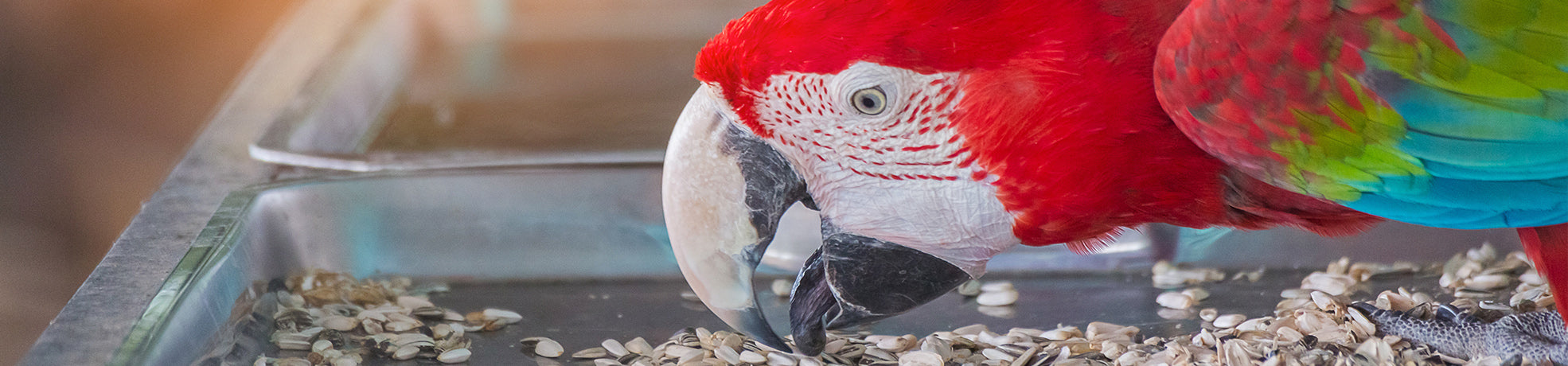 Bird Breeder Seed Mixes – Exotic Wings & Pet Things Inc