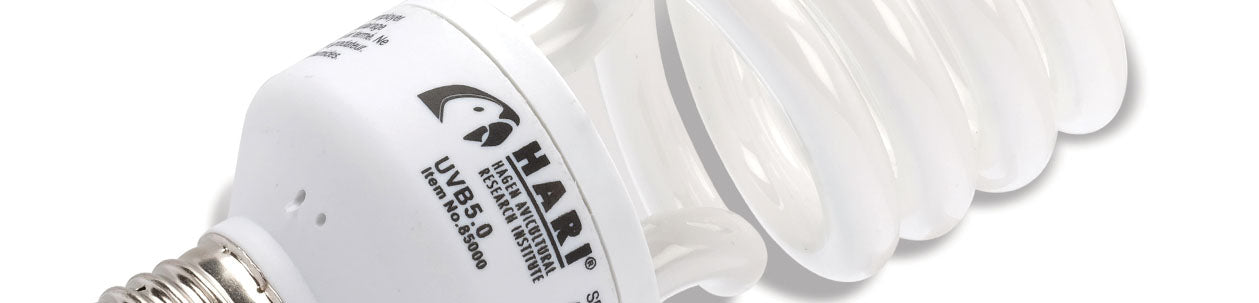 UV and Full Spectrum Lighting for Parrots, Parakeets, and Other Birds ...