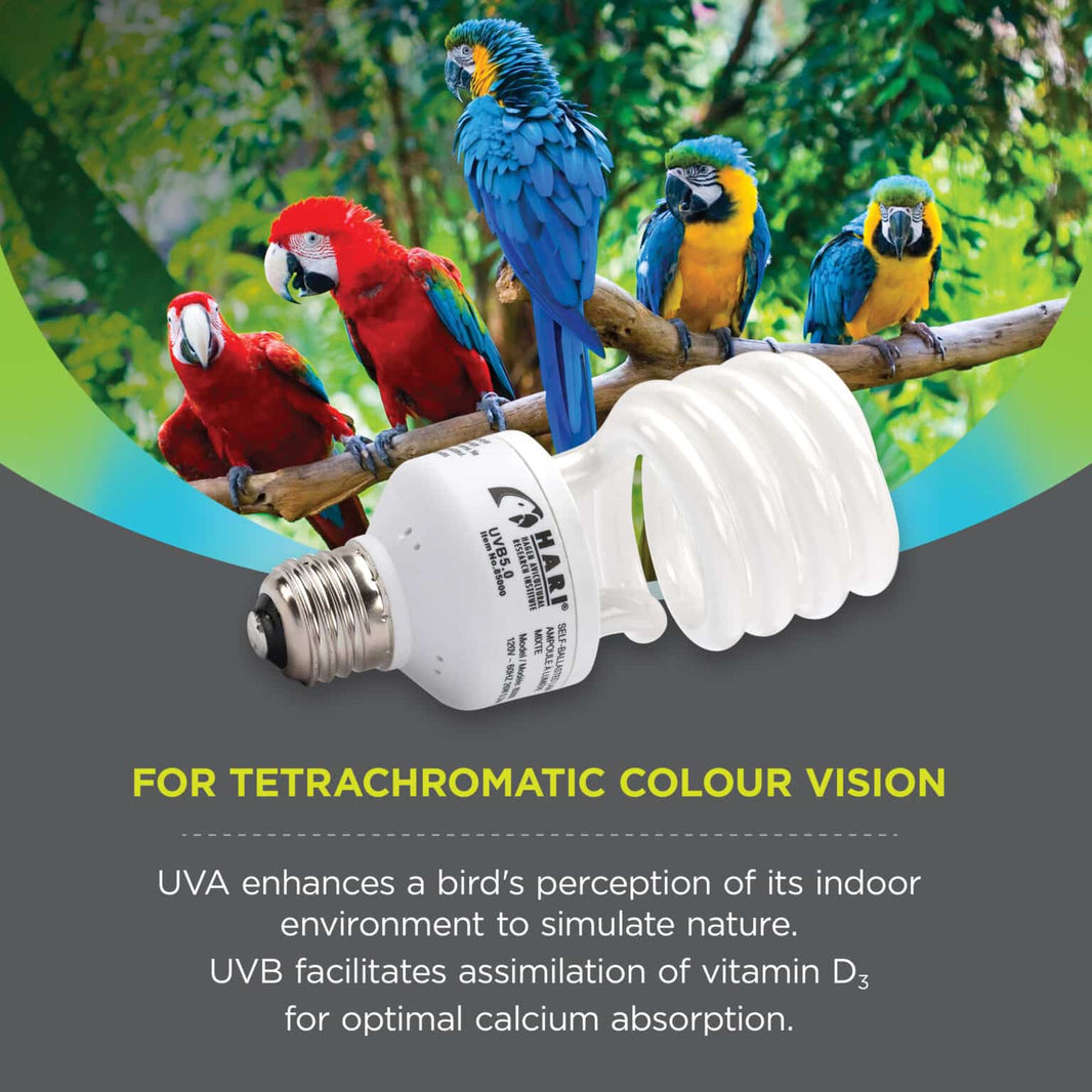 HARI Compact Fluorescent Avian Light UVA/UVB - 26 W Good for All Birds ...