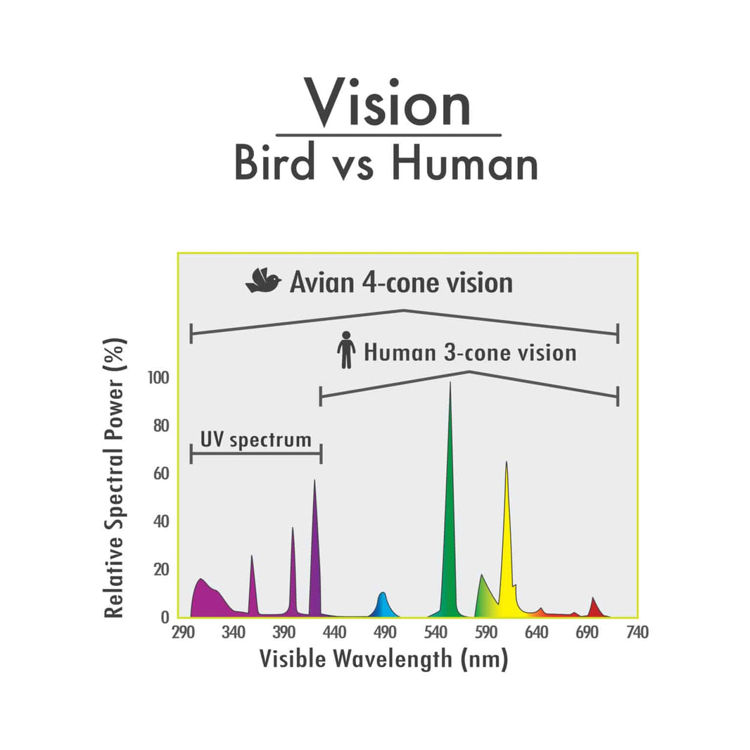 HARI Compact Fluorescent Avian Light UVA/UVB - 26 W Good for All Birds ...