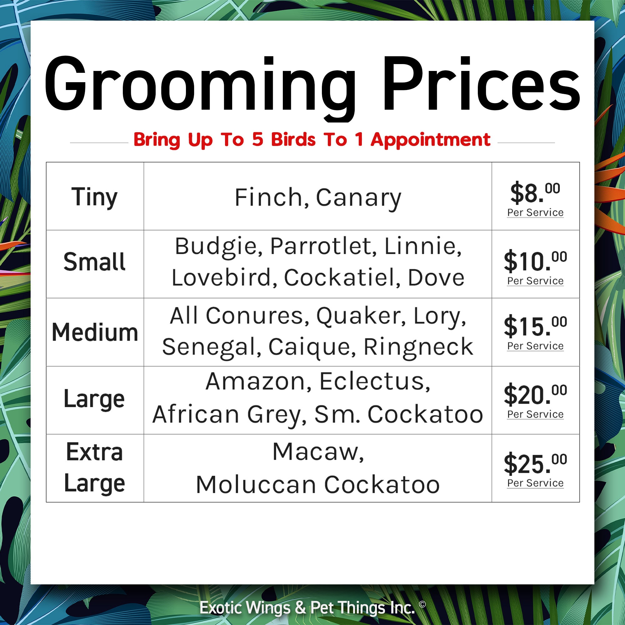 Professional Bird Grooming Service near Waterloo, Ontario GREAT PRICES ...