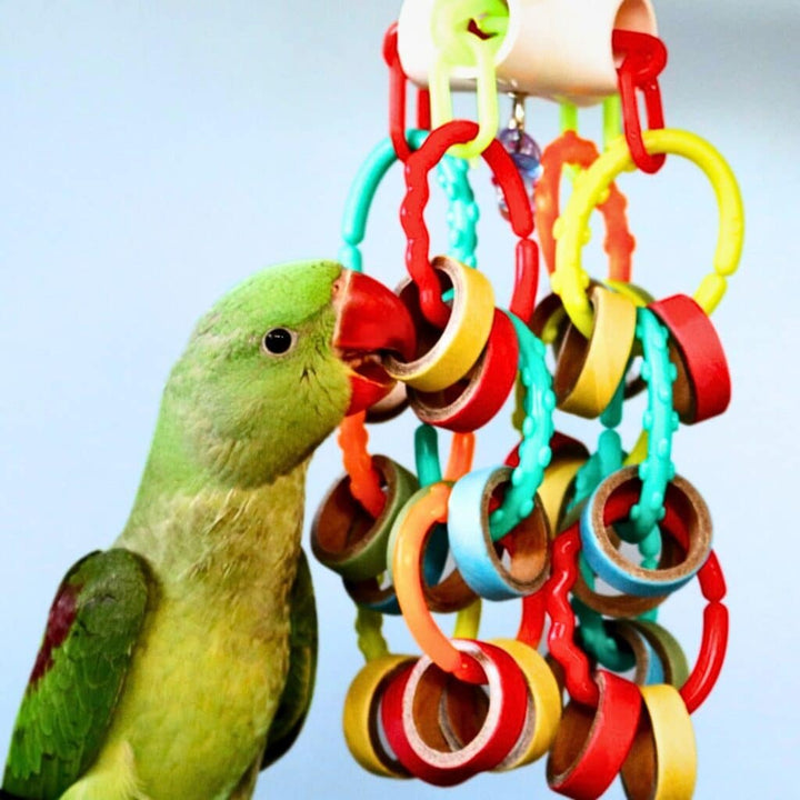 HARI Smart Play Enrichment Parrot Toy Bagel Cascade - 81014 – Exotic ...
