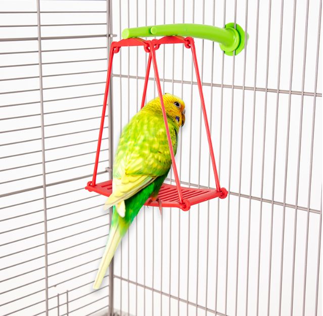 Swing n' Perch Platform Swing – Exotic Wings & Pet Things Inc