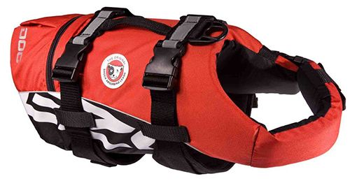 EzyDog DFD Life Jacket – Exotic Wings and Pet Things Inc