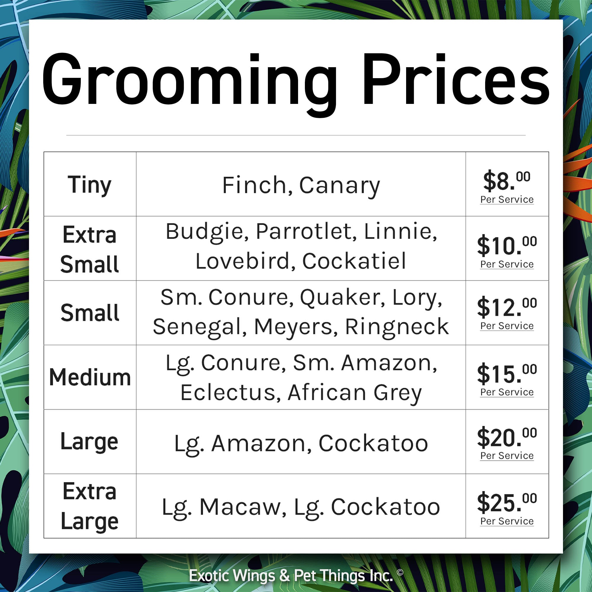 Professional Bird Grooming Service near Waterloo, Ontario GREAT PRICES ...