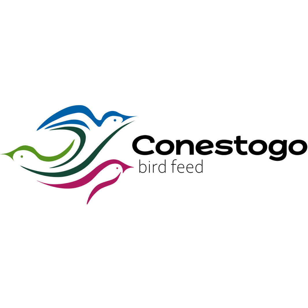 Conestogo Red Proso Millet Cage Bird Finch Seed – Exotic Wings & Pet ...