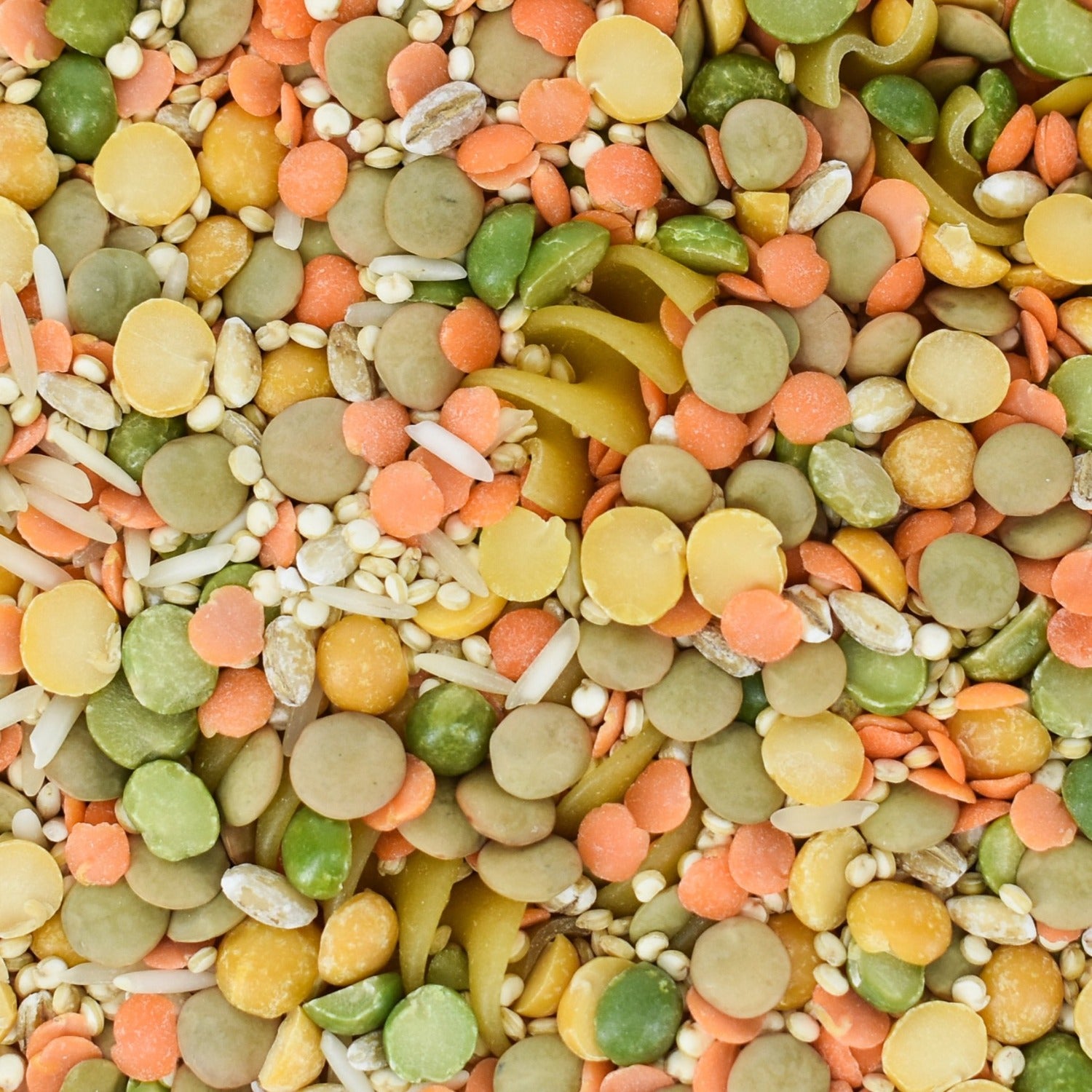 Exotic Wings Dry Protein Mix for Birds 1 kg - Made by Lisa – Exotic ...