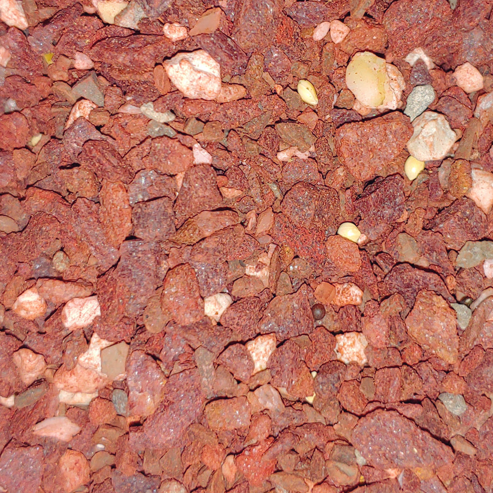 Conestogo Pigeon Red Grit – Exotic Wings & Pet Things Inc