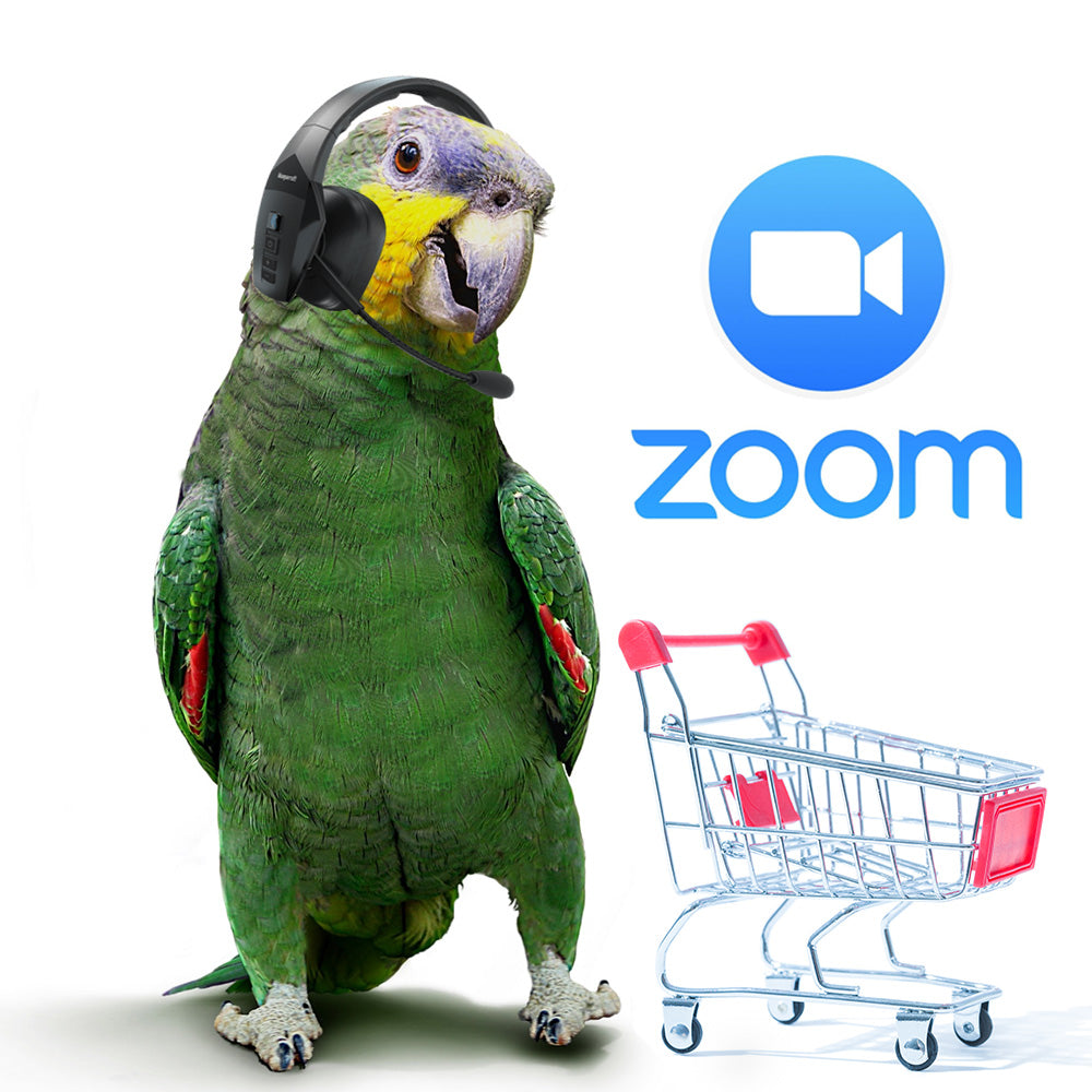 Virtual Shopping Experience With a Staff Member Via Zoom Call – Exotic ...