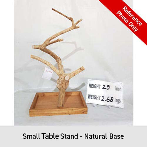 Java Wood Trees - All